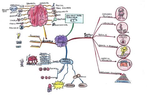 Mapa Conceptual Y Mapa Mental Que Son Los Mapas Conceptuales Y Mentales