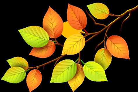 Осенние листья для оформления школьной доски или группы детского сада на 1 сентября Flower