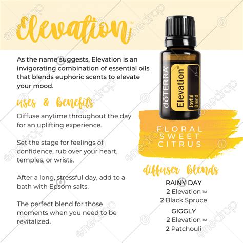 Elevation Uses Benefits And Diffuser Blends By Jan Kohler Artofit