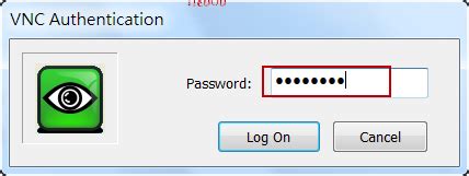 利用 VNC client 與 ESXi Guest OS 連線