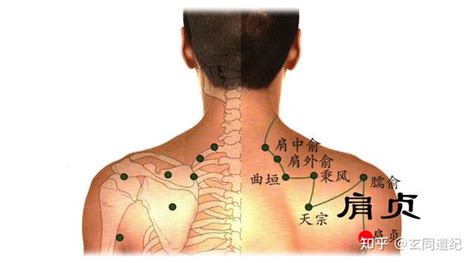铲平富贵包关键在这里 1 1 1 知乎
