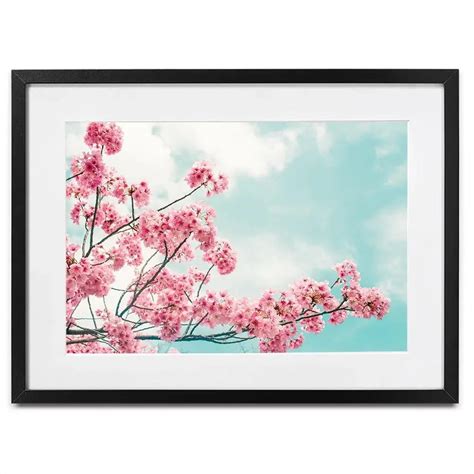 Cherry Blossom Framed Art Print