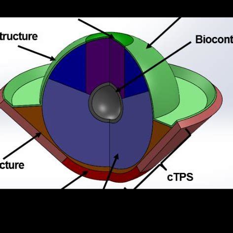 A Schematic Representation Of The ERC Download Scientific Diagram