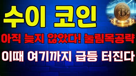수이 코인💥아직 늦지 않았다 눌림목 이구간 공략~ 이때 여기까지 급등 터진다~ 수이 코인 전망 시황 호재 목표가 대응 차트