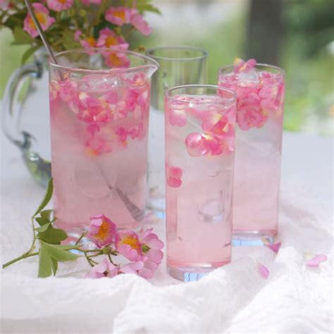 Sweet Rose Petal Cordial Culinary Blossom