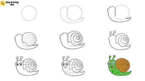 How To Draw A Snail Step By Step