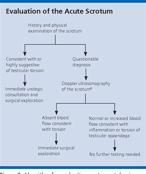Torsion Of Appendix Testis