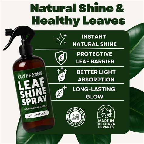 Leaf Shine Spray For Indoor Plants Natural Neem Oil Spray Cute Farms