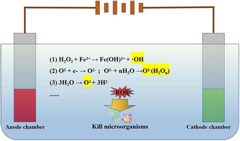 Frontiers Research Progress Of Electrochemical Oxidation And Self