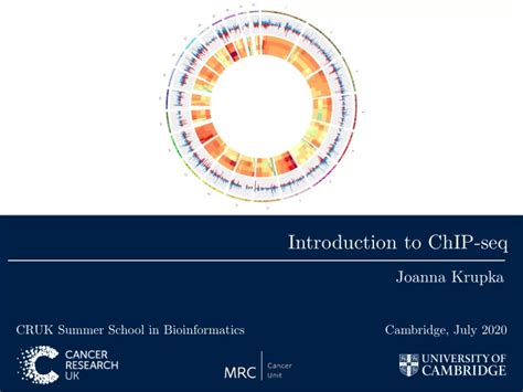PPT Introduction To ChIP Seq Joanna Krupka CRUK Summer Babe In PowerPoint Presentation