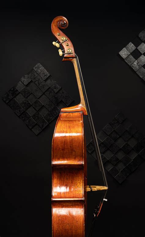 Thomas Dodd Model Bass Kolstein Music