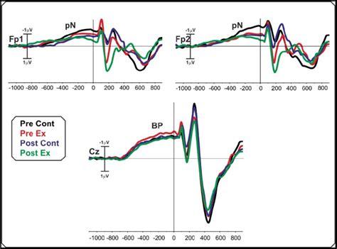 1 The Grand Averaged Erp Waveforms Recorded From Central Cz And