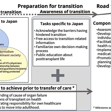 The Conceptual Framework For Establishing A Transition Program For