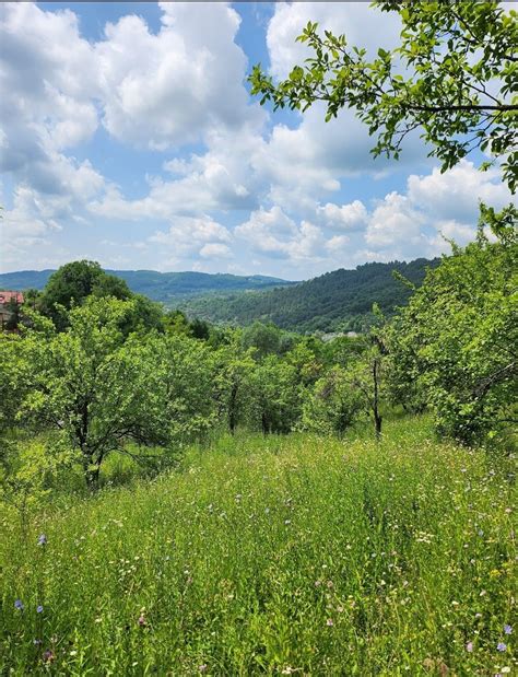 Teren Munte Moroeni Sinaia Padina Moroeni • Olx Ro