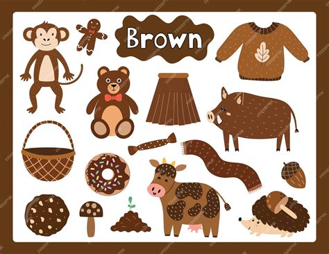 Premium Vector Set Of Brown Color Objects Primary Colors Flashcard With Brown Elements