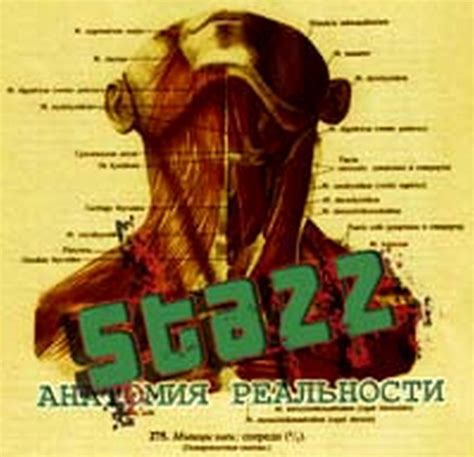 Female Genitals Autopsy Вскрытие Женских Половых Органов FORENSIC PATHOLOGY PROMOTIONS