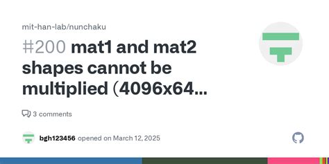 Mat1 And Mat2 Shapes Cannot Be Multiplied 4096x64 And 384x3072