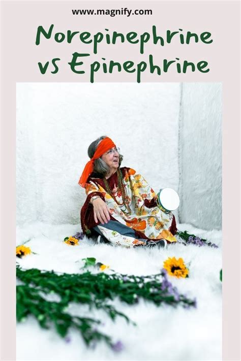 Norepinephrine Vs Epinephrine Whats The Differences Norepinephrine Epinephrine Increase