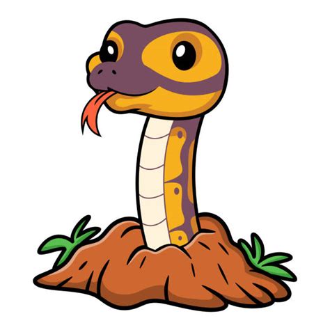 610 Python Ilustrasi Grafik Vektor And Clip Art Bebas Royalti Istock