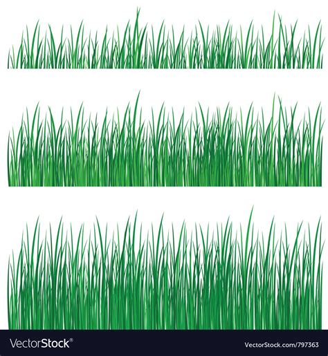 Green Grass Royalty Free Vector Image Vectorstock