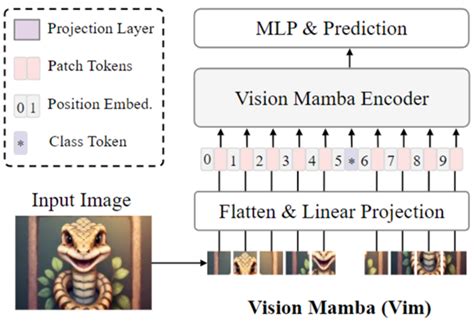 Vision Mamba Efficient Visual Representation Learning With Bidirectional State Space Model By
