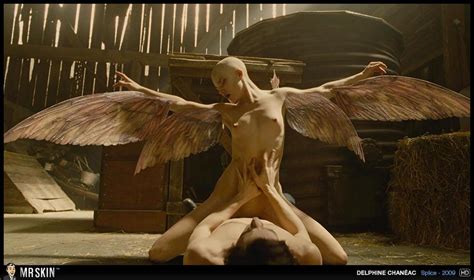 Staff Picks Creature Features