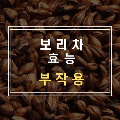 보리차 효능 8가지 및 부작용과 끓이는법