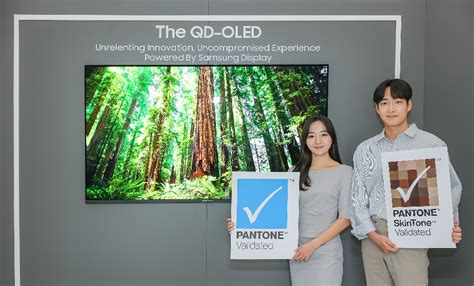 삼성디스플레이 65형 Qd Oled 팬톤 인증