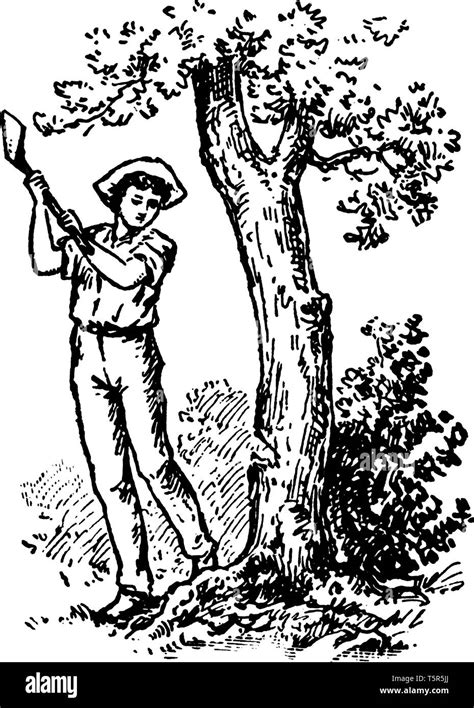 Cutting Down A Tree Drawing Drawing By Frank Ramspott 45 OFF