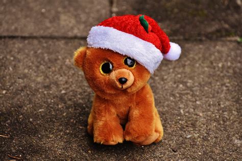 Free Images Sweet Cute Christmas Material Teddy Bear Santa Hat Textile Funny Plush