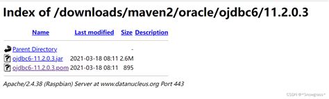 引入ojdbc6 11203版本ojdbc6版本 Csdn博客
