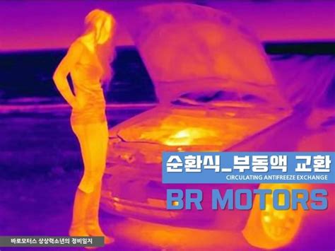 순환식부동액냉각수교환 냉각라인세정플러싱 냉각라인린스헹굼 롱라이프부동액 증류수 네이버 블로그