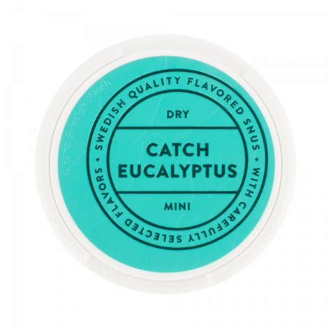 Buy Catch Eucalyptus Mini White Dry At Snuscentral