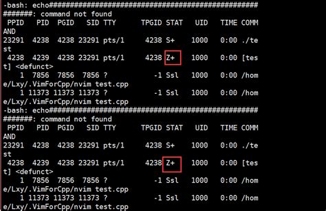 Linux Linux进程状态 Csdn博客