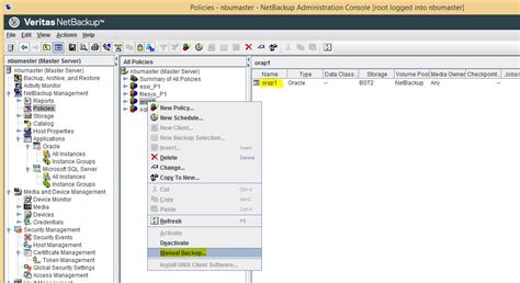 Remote Infrastructure Management Netbackup Performing Oracle