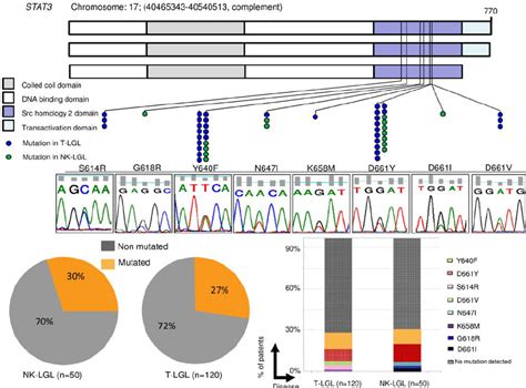 Distribution Of Stat3 Mutations Throughout Gene Domains And Patient Download Scientific Diagram