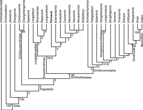 Strict Consensus Of Three Most Parsimonious Trees Tree Length 610