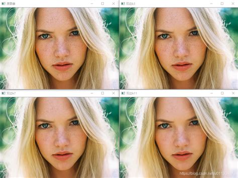 Opencv：中值滤波、双边滤波、均值滤波、高斯滤波、方框滤波滤波窗口的半宽 Csdn博客