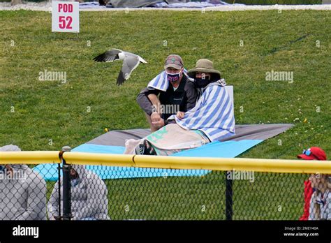 A Limited Number Of Socially Distanced Baseball Fans Watch A Spring Training Exhibition Baseball
