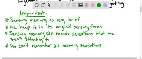 ⏩solvedwhich Sentence Most Accurately Describes Sensory Memory A Numerade