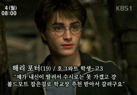 해리포터 짤 고화질으로용 지식in