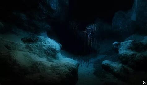 Тайна бездны Челленджера что обнаружили учёные на дне самой глубокой точки земного океана