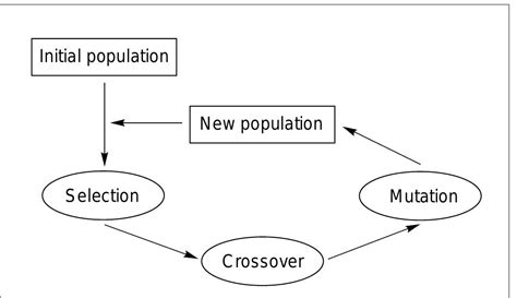 Flowchart Of A Genetic Algorithm The Algorithm Begins With