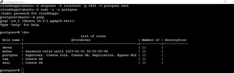 Postgresql Create And Drop User Cloudduggu Cloudduggu