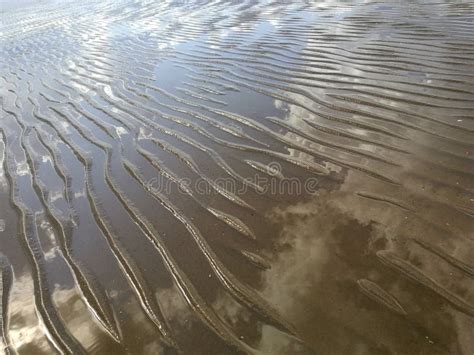 Reflection On The Seabed Of The Refraction Of The Sun S Rays In Sea