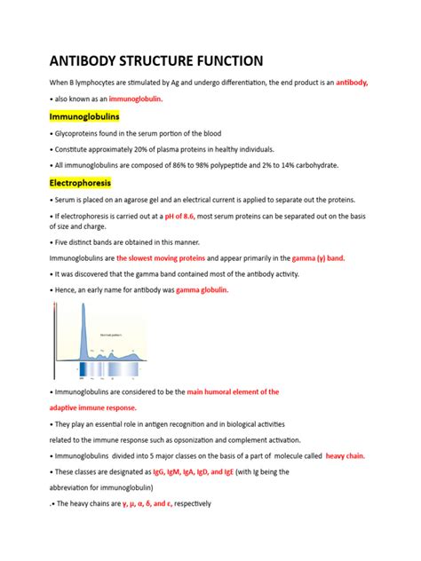 Antibody Structure Function Pdf Antibody Immunoglobulin G