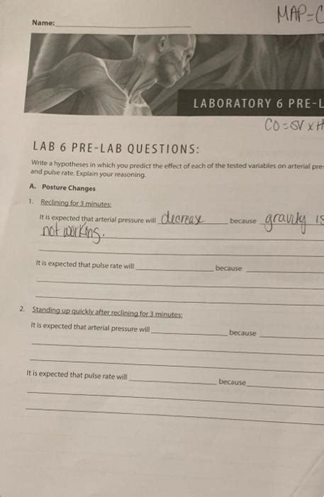 Solved Name LAB PRE LAB QUESTIONS Write A Hypotheses In Chegg