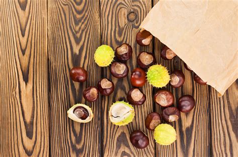 전체 및 녹색 가시 밤 부드러운 갈색 밤 부 어 종이 패키지에서 오래 된 목조 소박한 갈색 테이블에 텍스트 복사 공간 0명에 대한 스톡 사진 및 기타 이미지 Istock