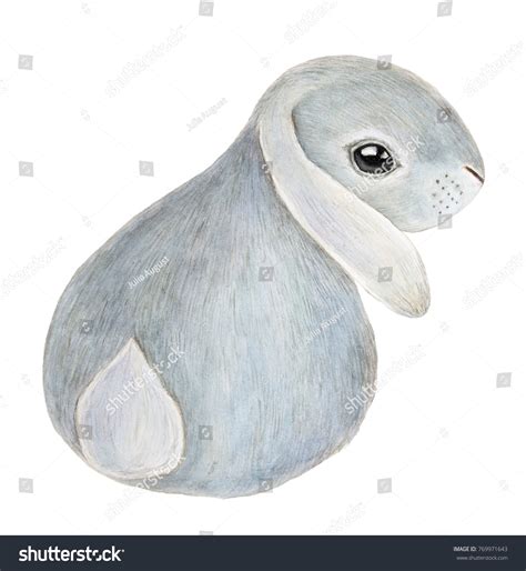 Rabit Water Color Over Royalty Free Licensable Stock Illustrations Drawings Shutterstock