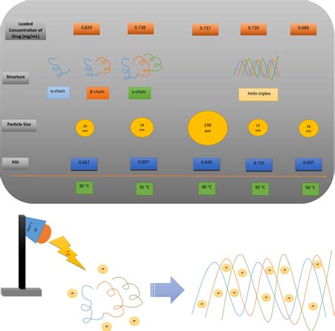 Comparative Schema Of Structure Particle Size Pdi Value And Loaded Download Scientific